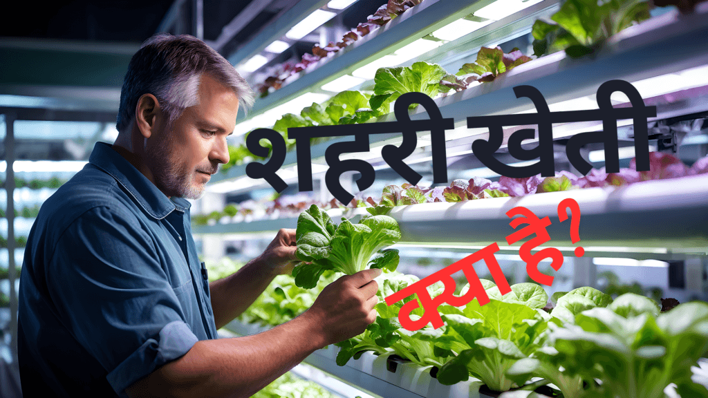 Organic farming vs. Conventional Farming Organic farming vs. Conventional Farming